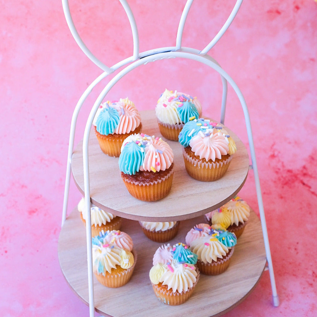 Pastel Rainbow Mini Cupcakes, box of 24 – Padoca Bakery